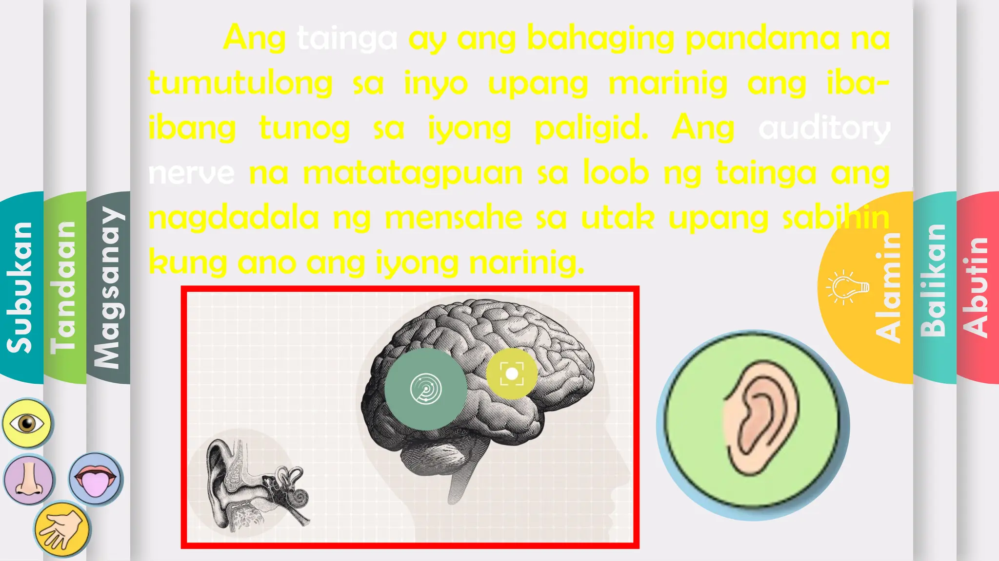 1 Science 3 Q2 Week 1 ANG MGA PANDAMA AT ANG MGA GAMIT NITO.pptx