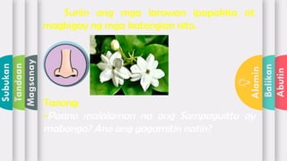 1 Science 3 Q2 Week 1 ANG MGA PANDAMA AT ANG MGA GAMIT NITO.pptx