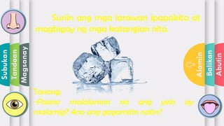 1 Science 3 Q2 Week 1 ANG MGA PANDAMA AT ANG MGA GAMIT NITO.pptx