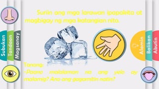 1 Science 3 Q2 Week 1 ANG MGA PANDAMA AT ANG MGA GAMIT NITO.pptx