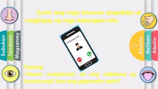 1 Science 3 Q2 Week 1 ANG MGA PANDAMA AT ANG MGA GAMIT NITO.pptx