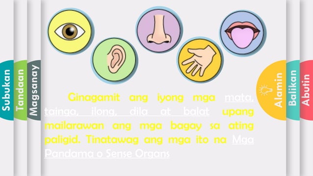 1 Science 3 Q2 Week 1 ANG MGA PANDAMA AT ANG MGA GAMIT NITO.pptx