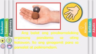 1 Science 3 Q2 Week 1 ANG MGA PANDAMA AT ANG MGA GAMIT NITO.pptx