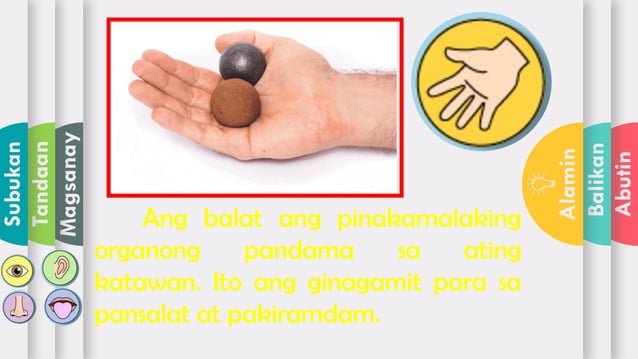 1 Science 3 Q2 Week 1 ANG MGA PANDAMA AT ANG MGA GAMIT NITO.pptx