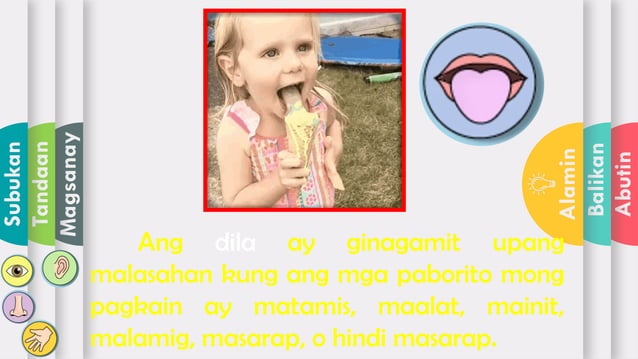 1 Science 3 Q2 Week 1 ANG MGA PANDAMA AT ANG MGA GAMIT NITO.pptx