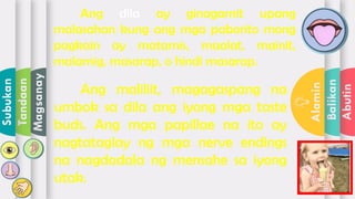 1 Science 3 Q2 Week 1 ANG MGA PANDAMA AT ANG MGA GAMIT NITO.pptx