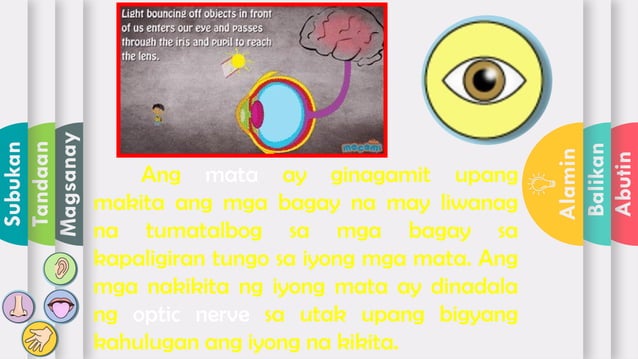 1 Science 3 Q2 Week 1 ANG MGA PANDAMA AT ANG MGA GAMIT NITO.pptx