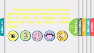 1 Science 3 Q2 Week 1 ANG MGA PANDAMA AT ANG MGA GAMIT NITO.pptx