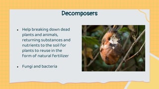 (1) SCIENCE 4.pptx