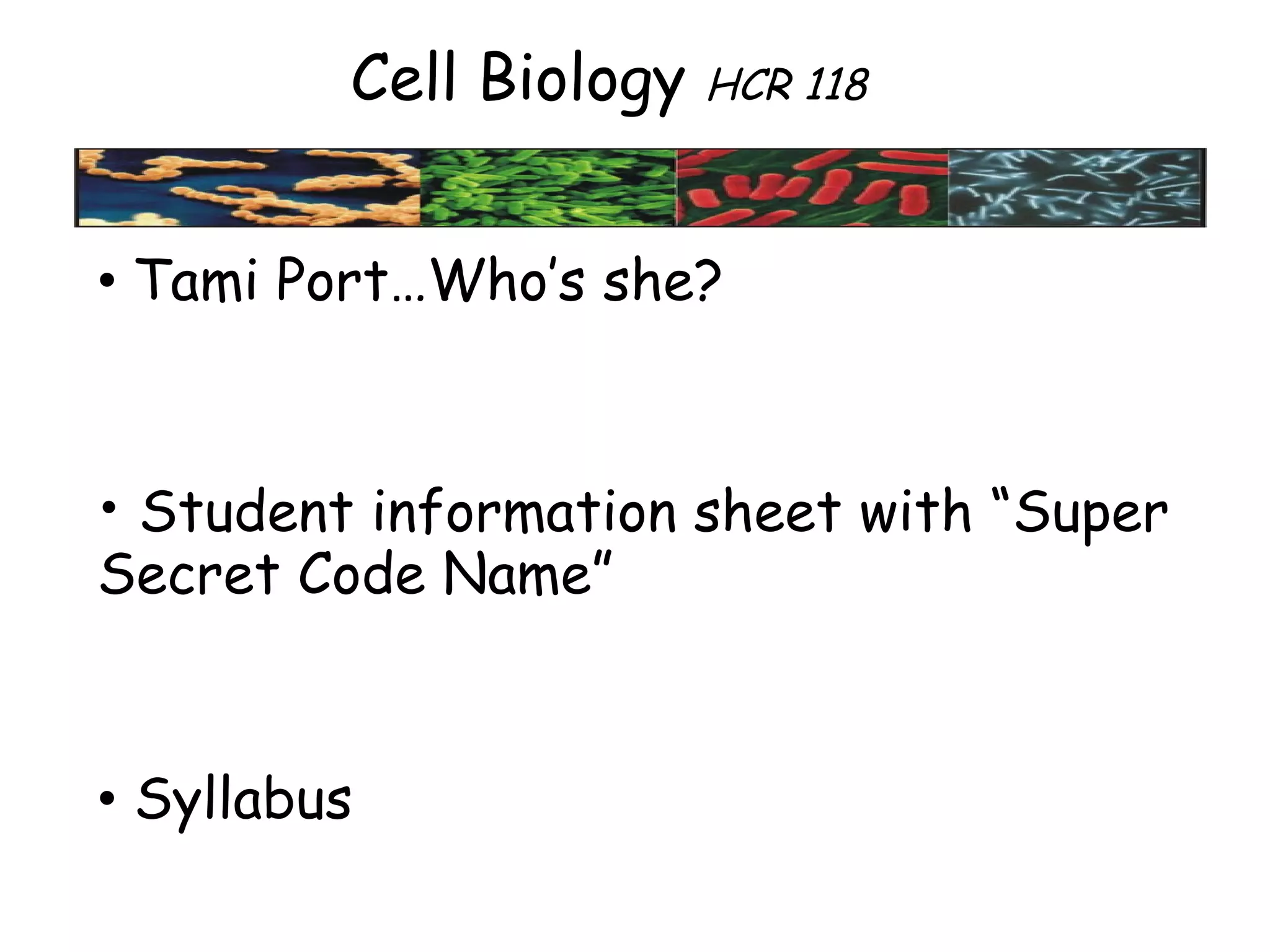 1 Scientific Method Power Point | PPT