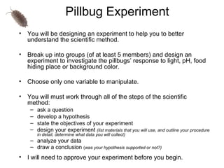 1 Scientific Method Power Point | PPT | Infectious Diseases | Diseases ...