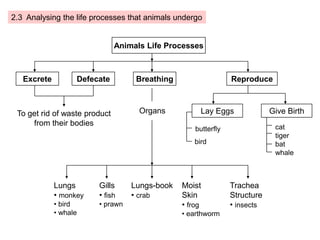 Science Year 4 | PDF