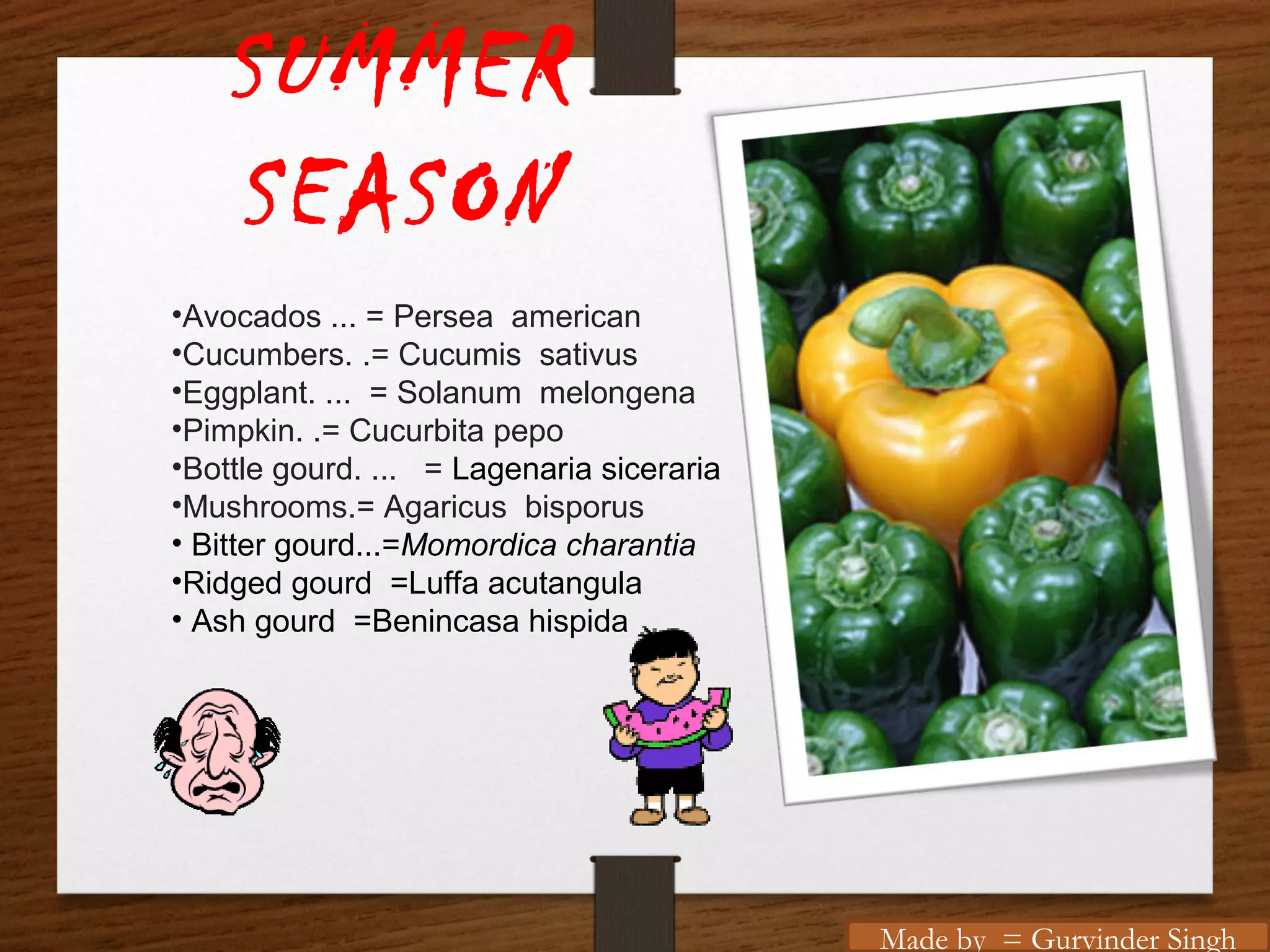 PPT on Seasonal Vegetables By Gurvinder Singh | PPT