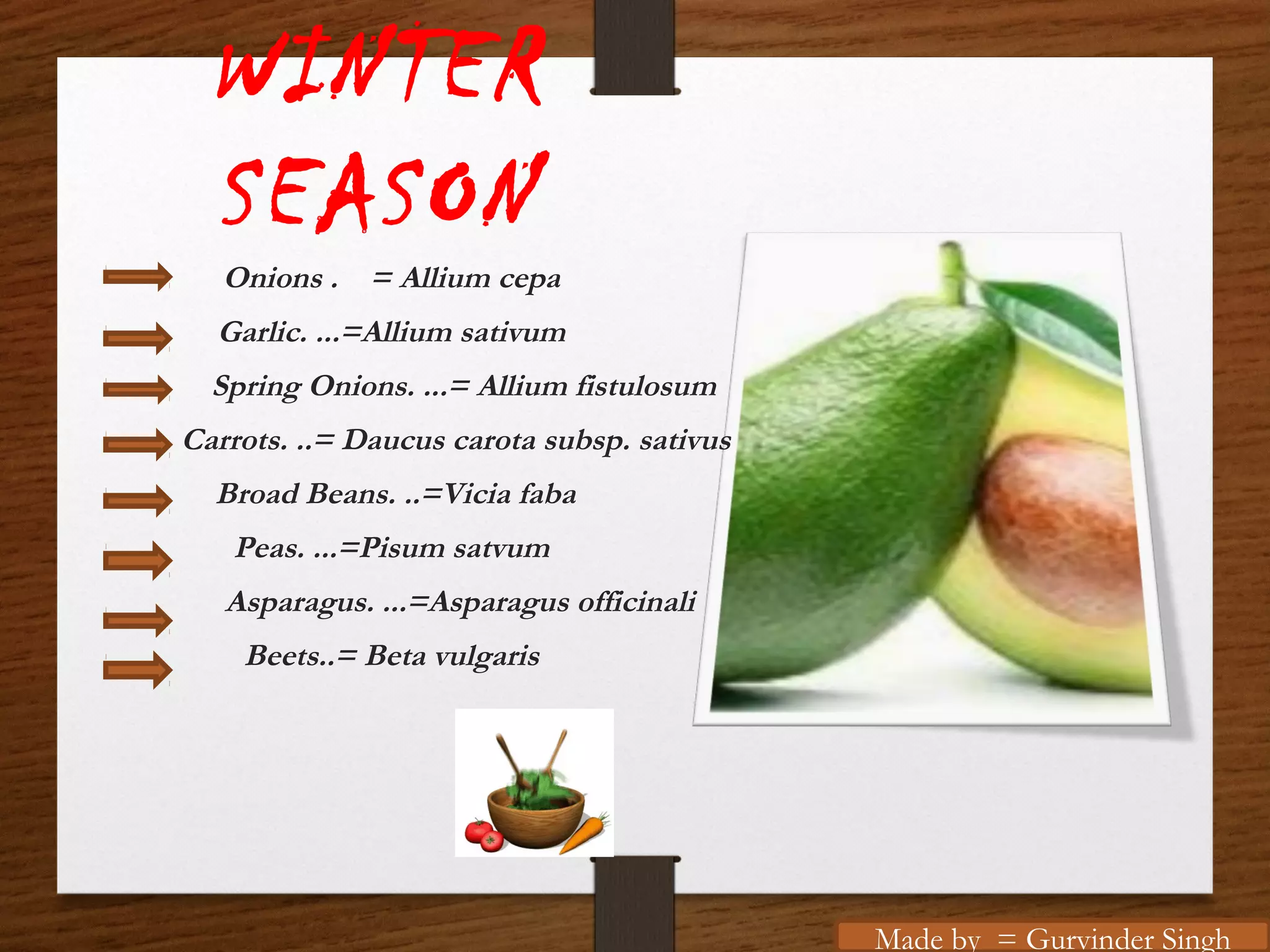 PPT on Seasonal Vegetables By Gurvinder Singh | PPT