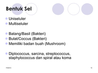 ITP UNS SEMESTER 1 sel, teori sel, organisasi kehidupan, pro eu, hewan ...