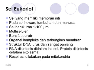 ITP UNS SEMESTER 1 sel, teori sel, organisasi kehidupan, pro eu, hewan ...