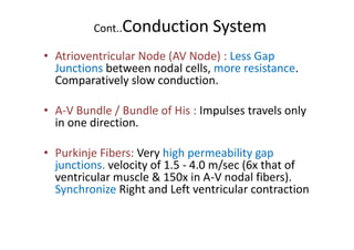 genesis and spreading of cardiac impulses | PDF