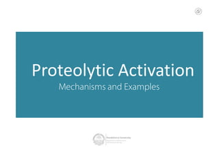 Proteolytic Activation | PDF