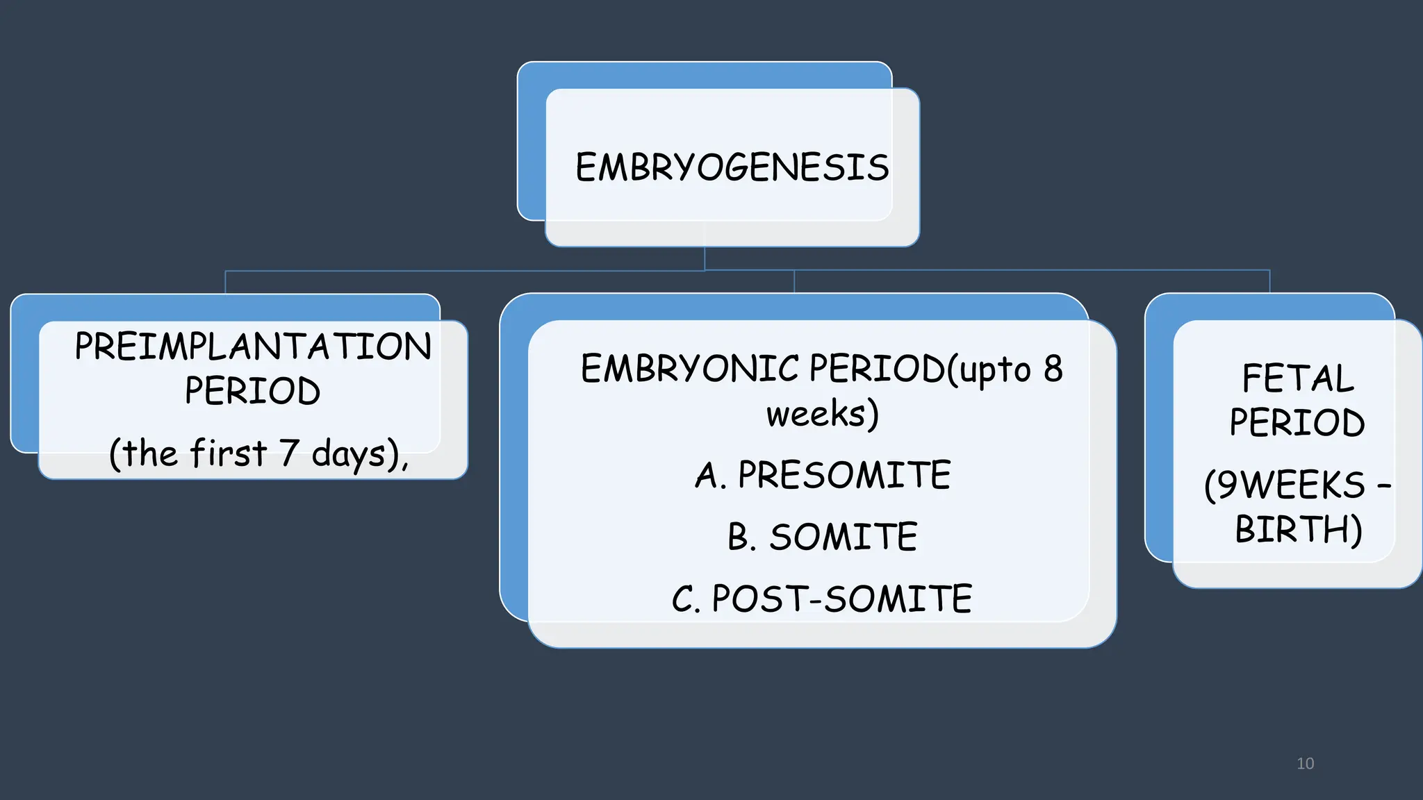 EMBRYOLOGY in Orthodontics and dentofacial orthopaedics | PPTX
