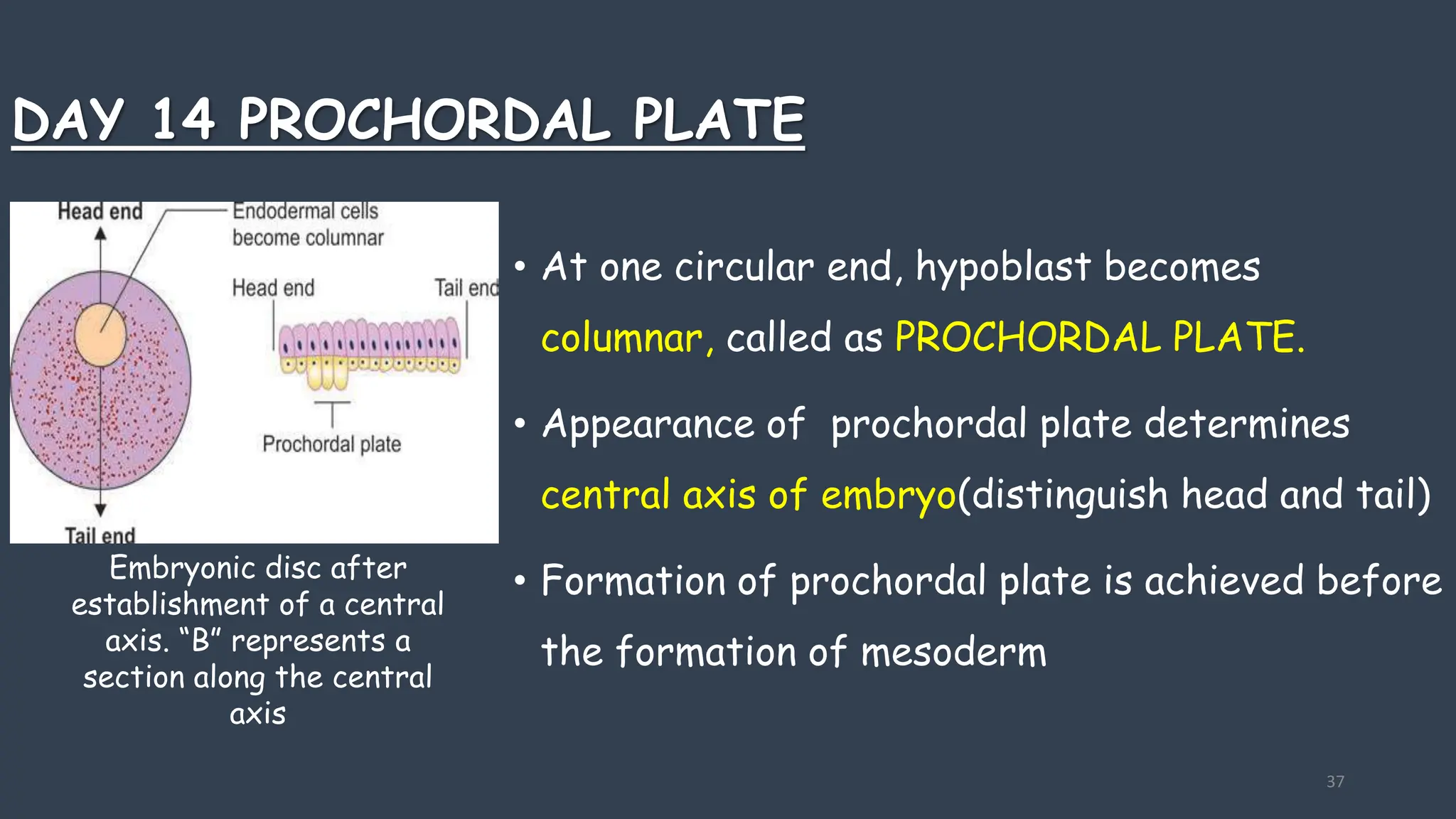 EMBRYOLOGY in Orthodontics and dentofacial orthopaedics | PPTX