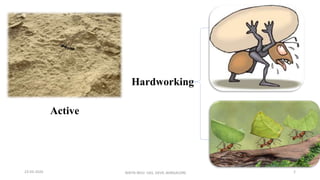 LAZY ANT | PPTX
