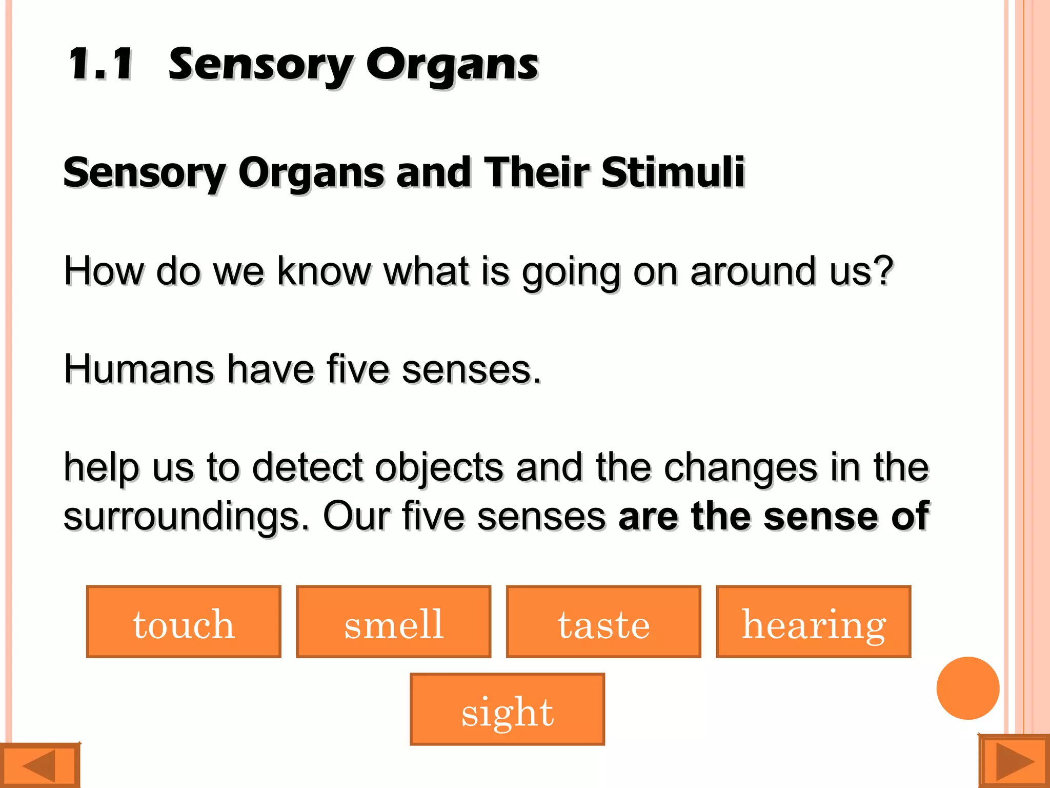 SENSES | PPT