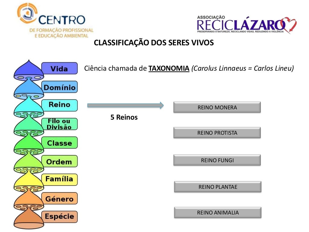 Classificação dos Seres Vivos