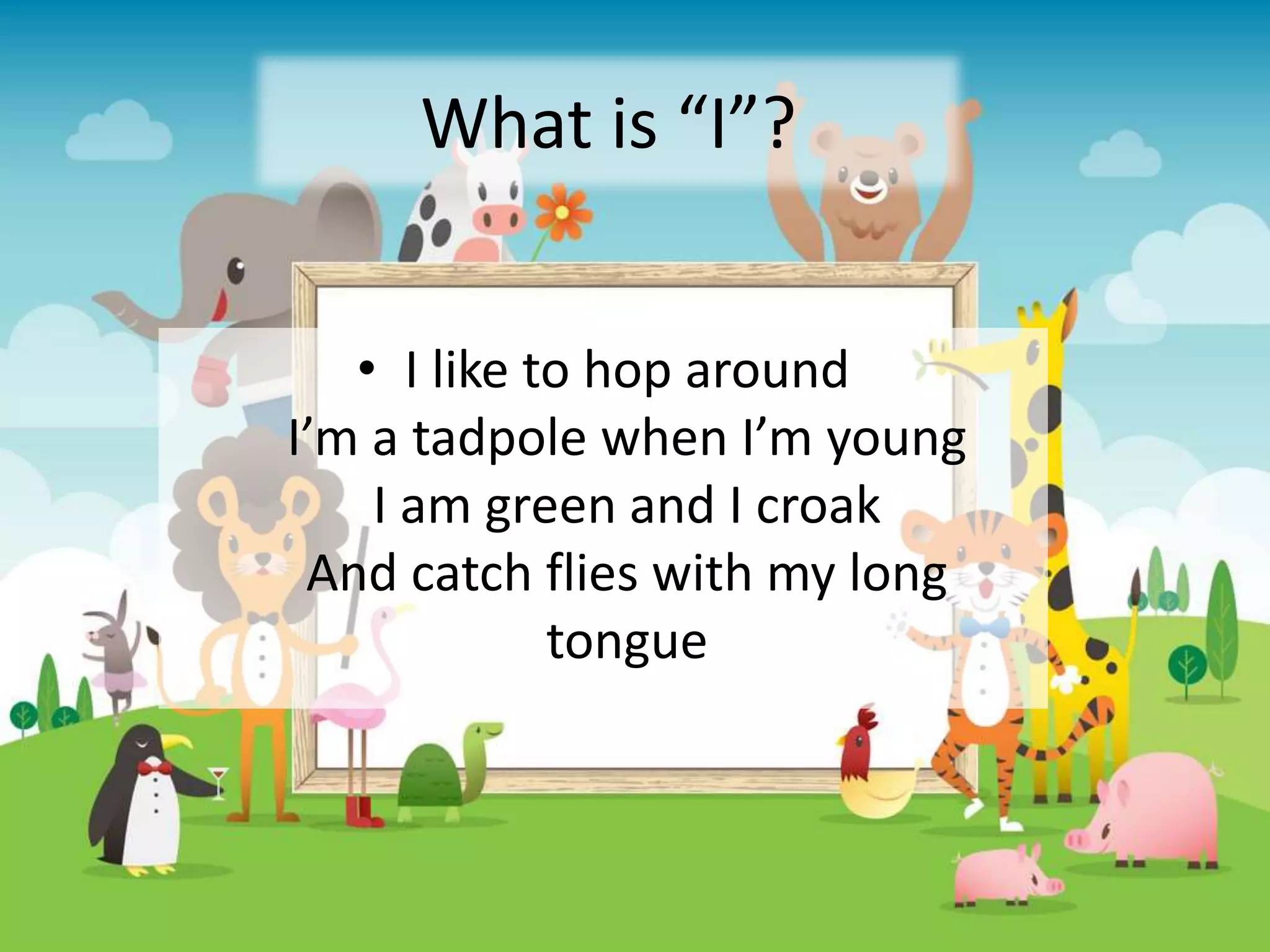 Comparative and Superlative Adjectives: Animals | PPTX