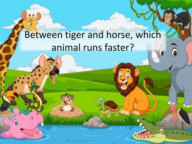 Comparative and Superlative Adjectives: Animals