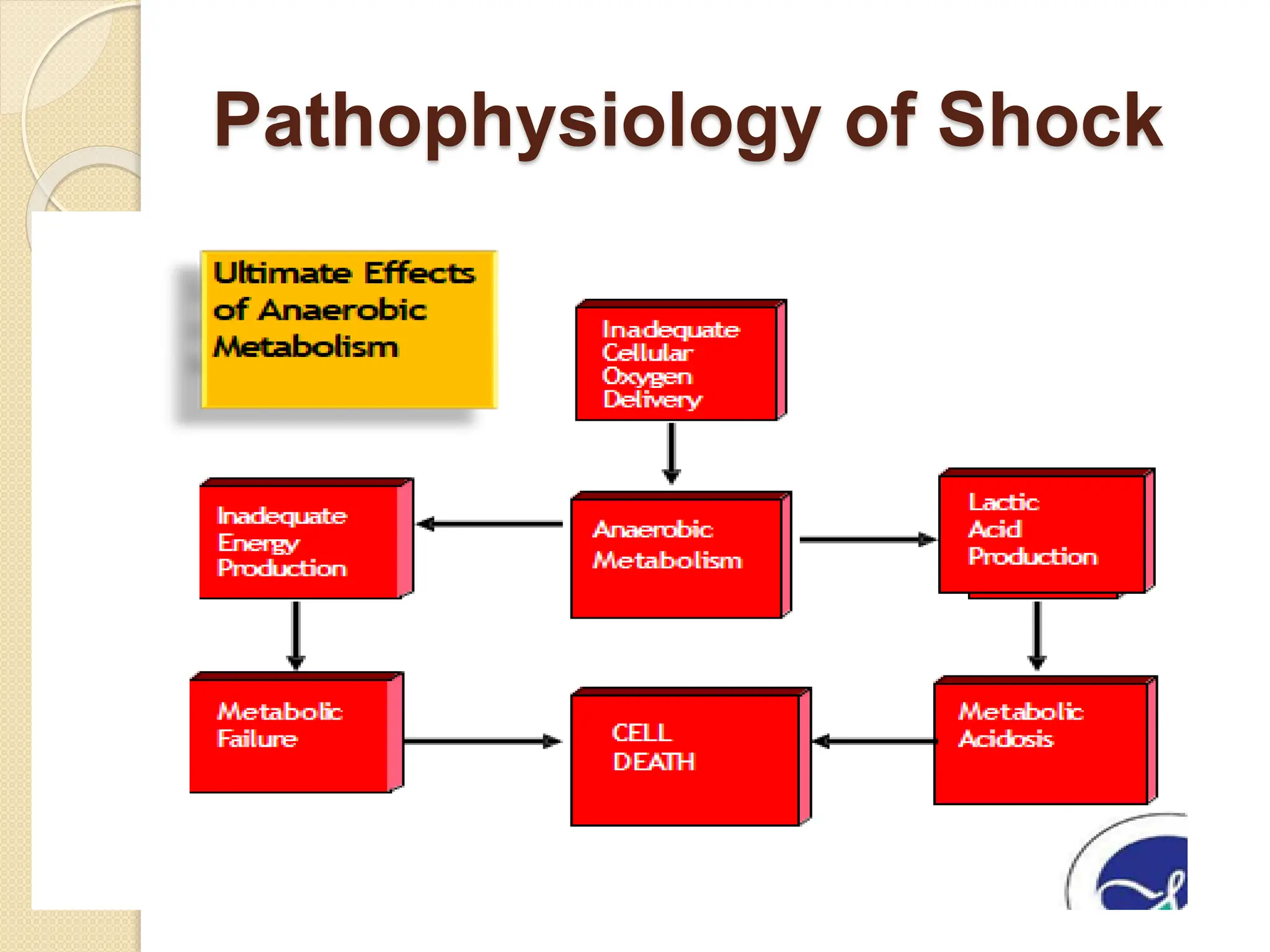 what is shock | PPTX | First Aid | Injuries