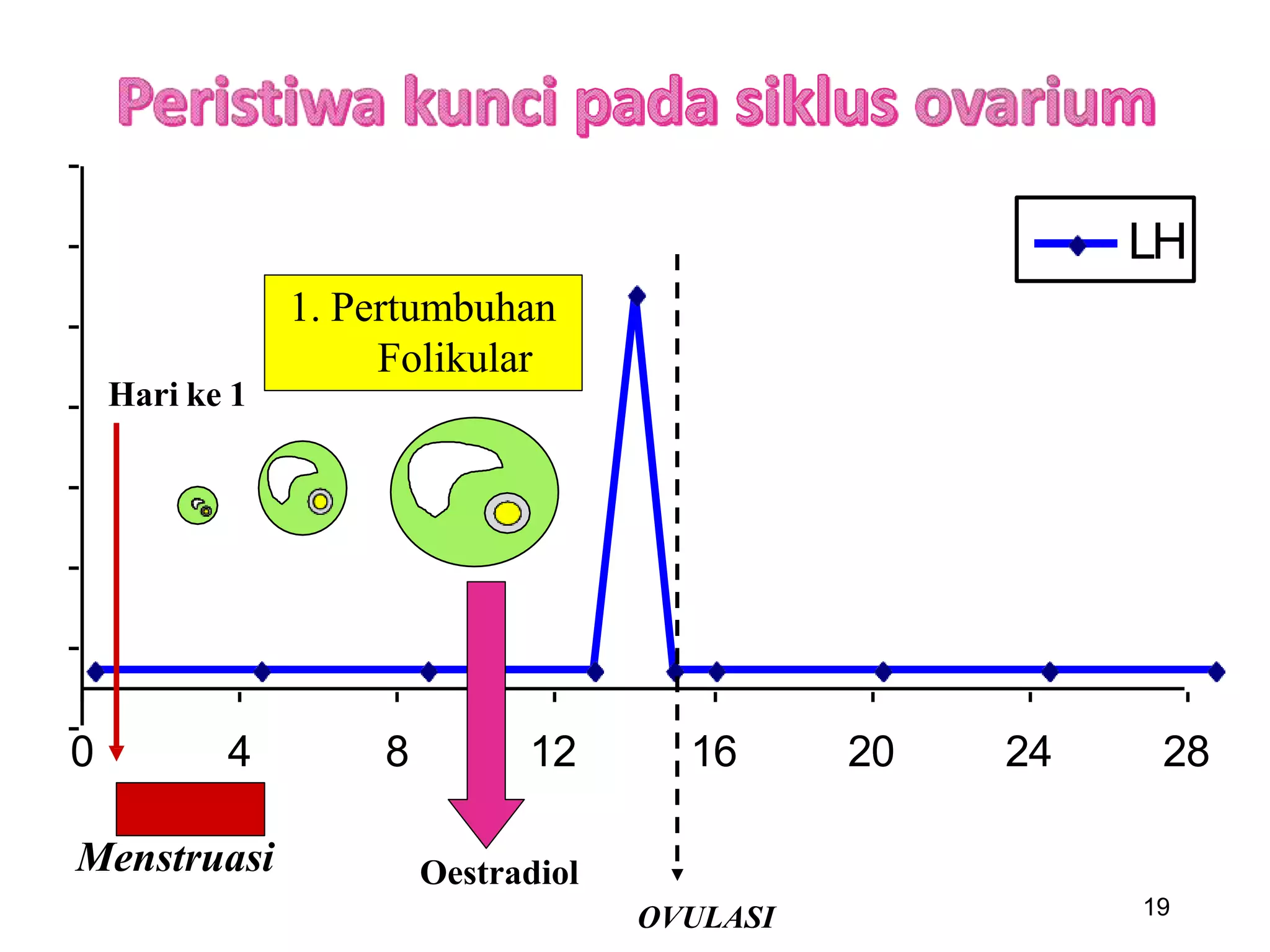 1 siklus menstruasi.pptx