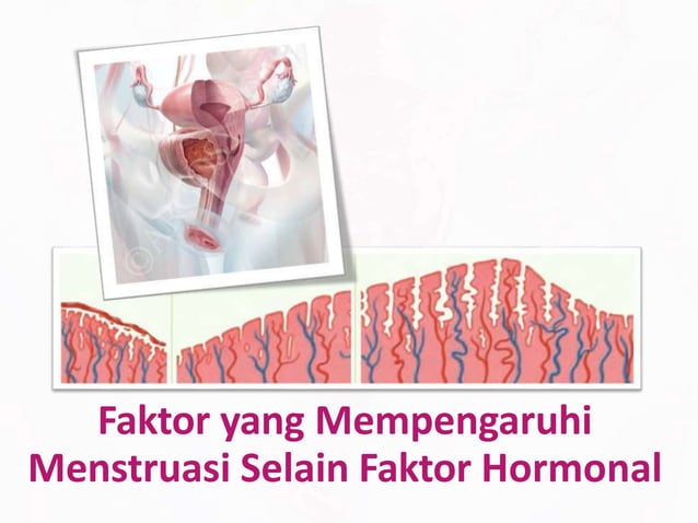 1 siklus menstruasi.pptx