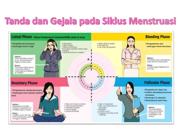 1 siklus menstruasi.pptx
