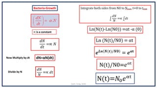 Sim Analytical Numerical Example | PPT