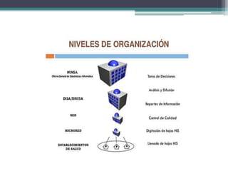 El SISTEMA DE SALUD EN PERU REVISION 2024 | PPT