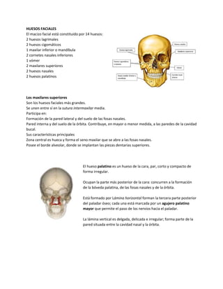Sistema óseo: huesos esqueleto axial | PDF