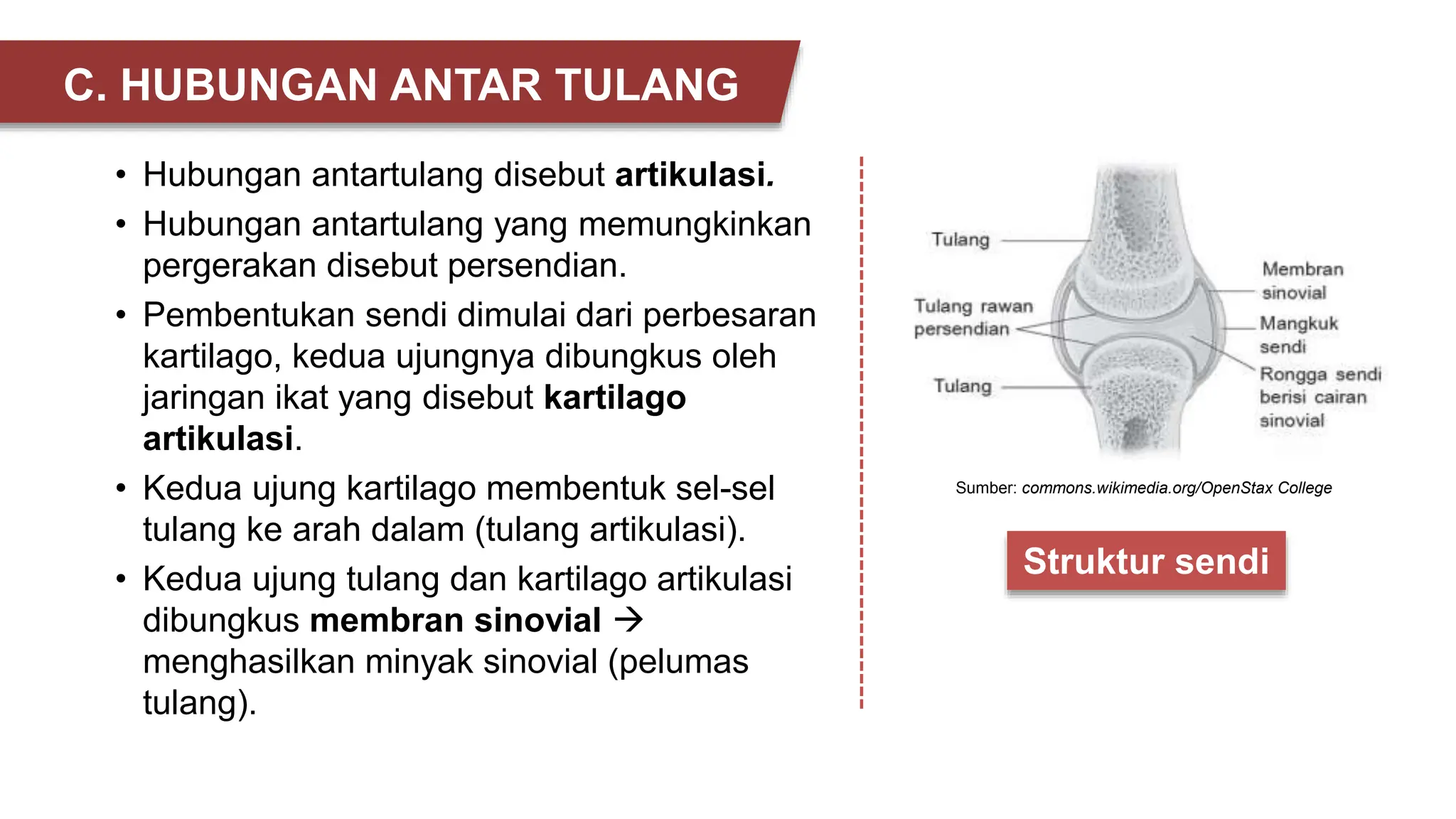 Sistem Gerak Pada Manusia dan cara menjaga kesehatan sistem gerak ...