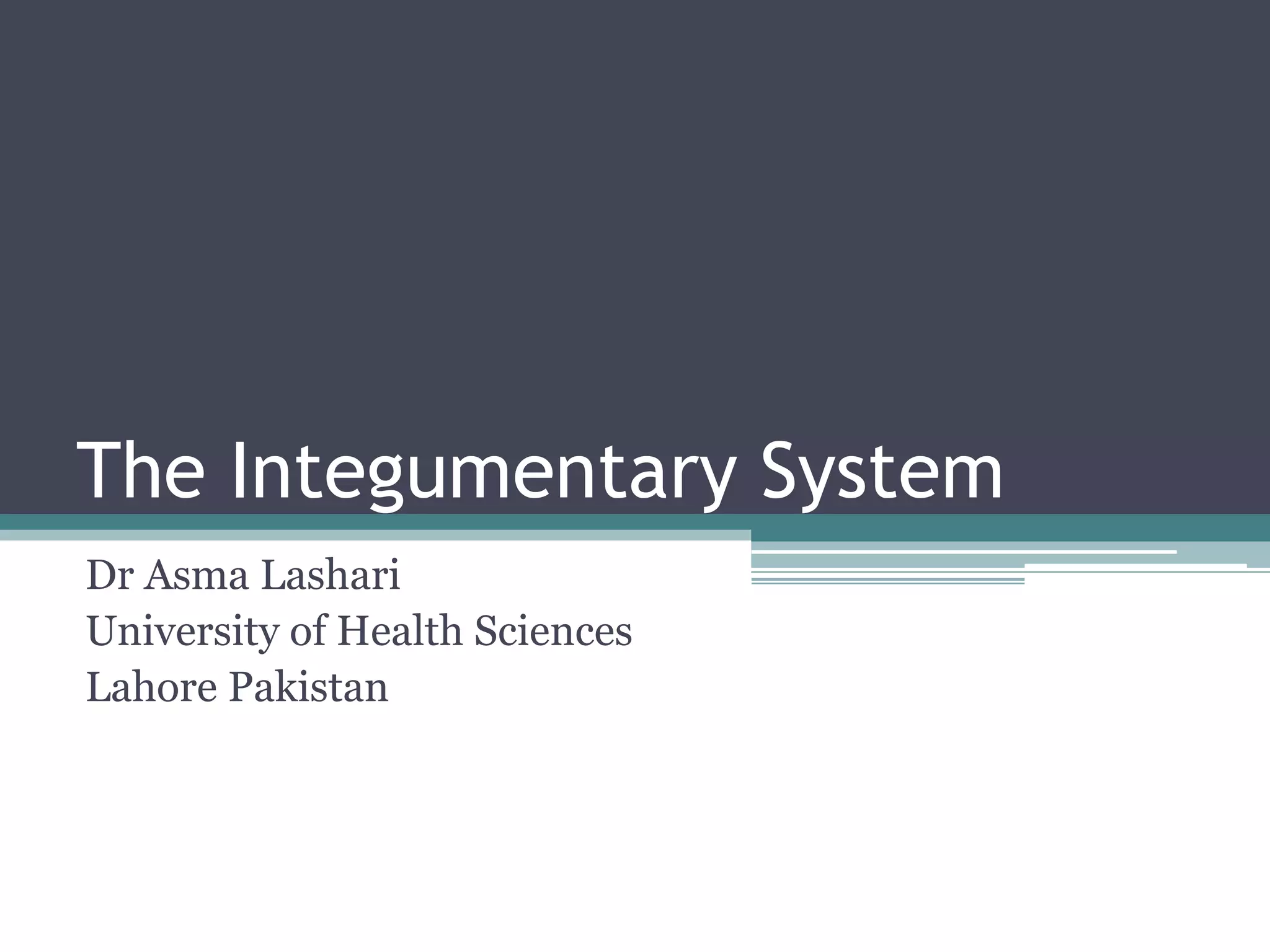 Integumentary System | PPT | Skin and Dermatology | Diseases and Conditions