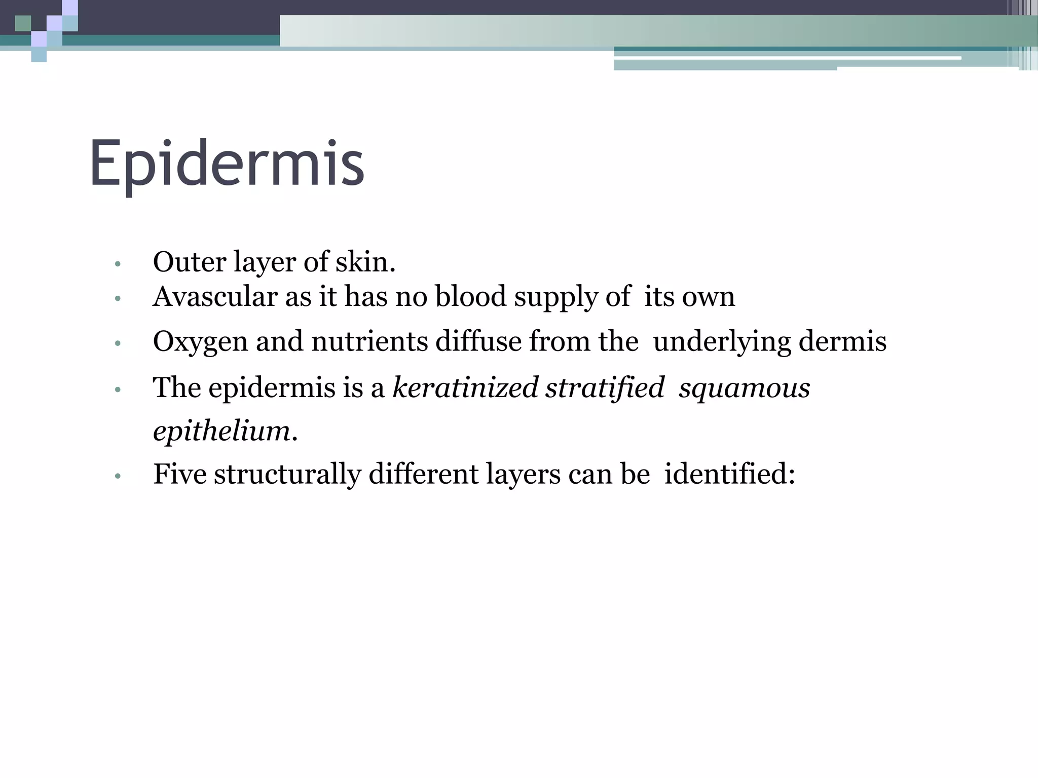 Integumentary System | PPT | Skin and Dermatology | Diseases and Conditions