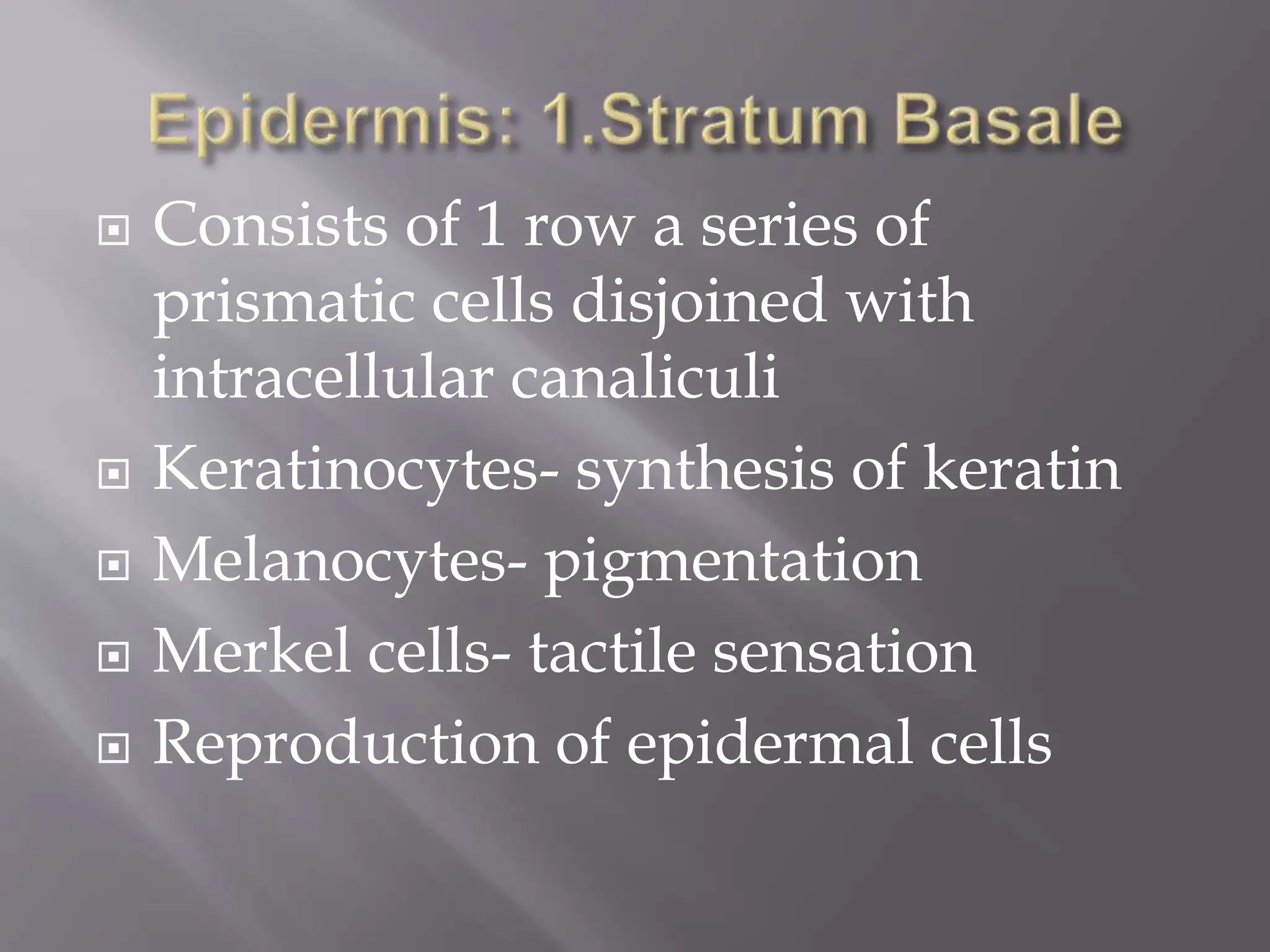 1skin structure.pptx education dermatology | PPTX