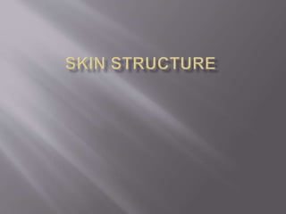 1skin structure.pptx education dermatology | PPTX