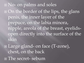 1skin structure.pptx education dermatology | PPTX