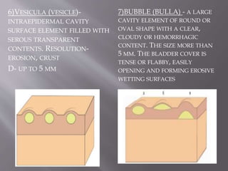 1skin structure.pptx education dermatology | PPT