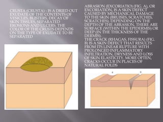 1skin structure.pptx education dermatology | PPT