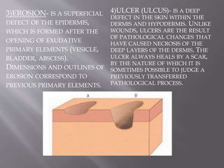 1skin structure.pptx education dermatology | PPTX