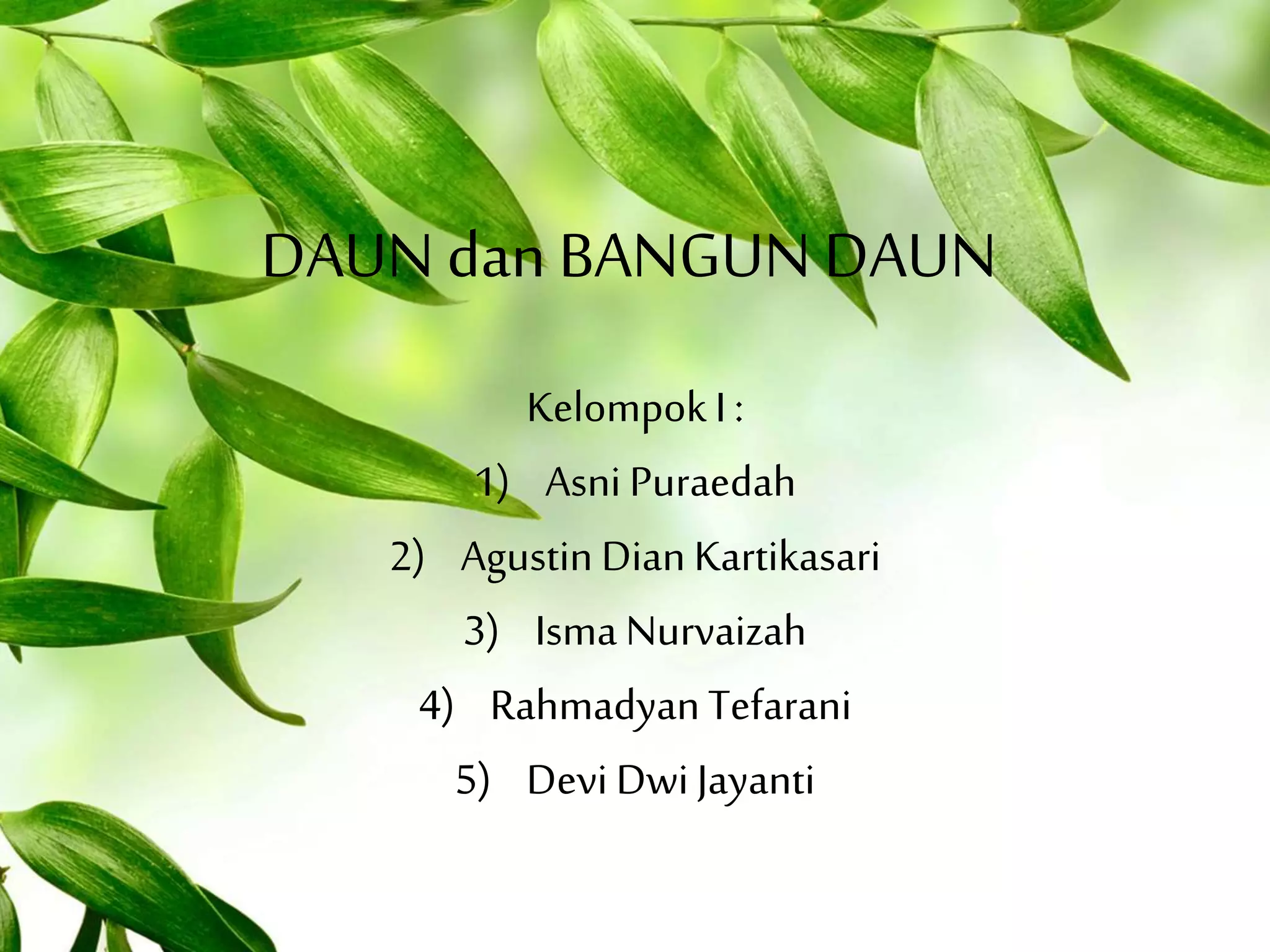 PPT Morfologi Tumbuhan - Daun dan Bangun Daun | PPTX
