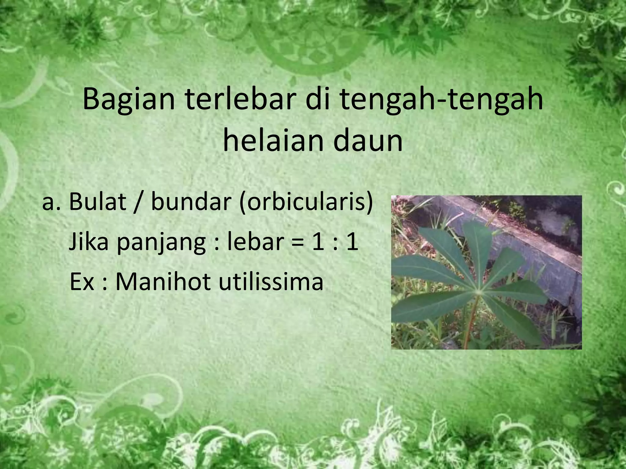 PPT Morfologi Tumbuhan - Daun dan Bangun Daun | PPTX