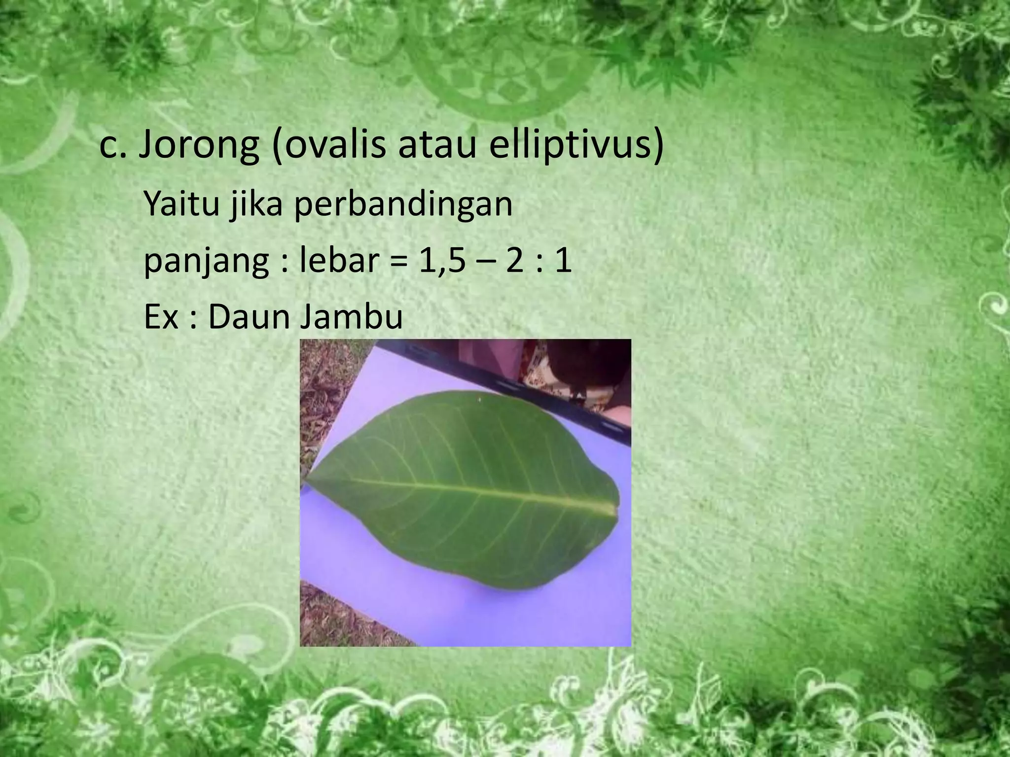 PPT Morfologi Tumbuhan - Daun dan Bangun Daun | PPTX