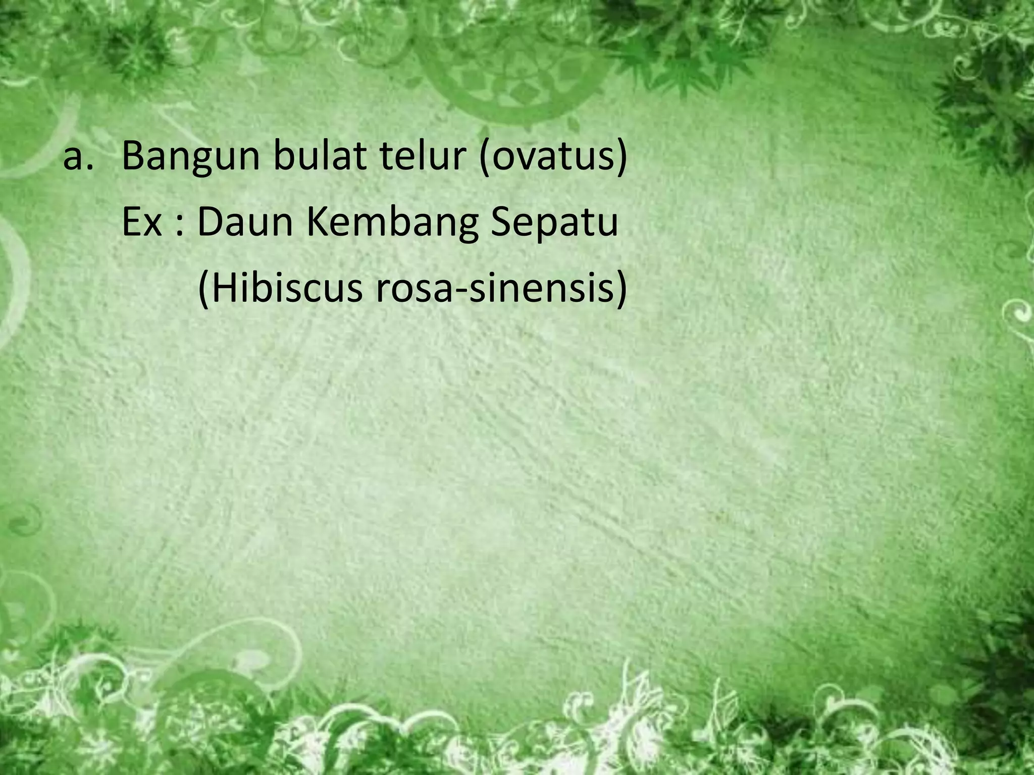 PPT Morfologi Tumbuhan - Daun dan Bangun Daun | PPTX