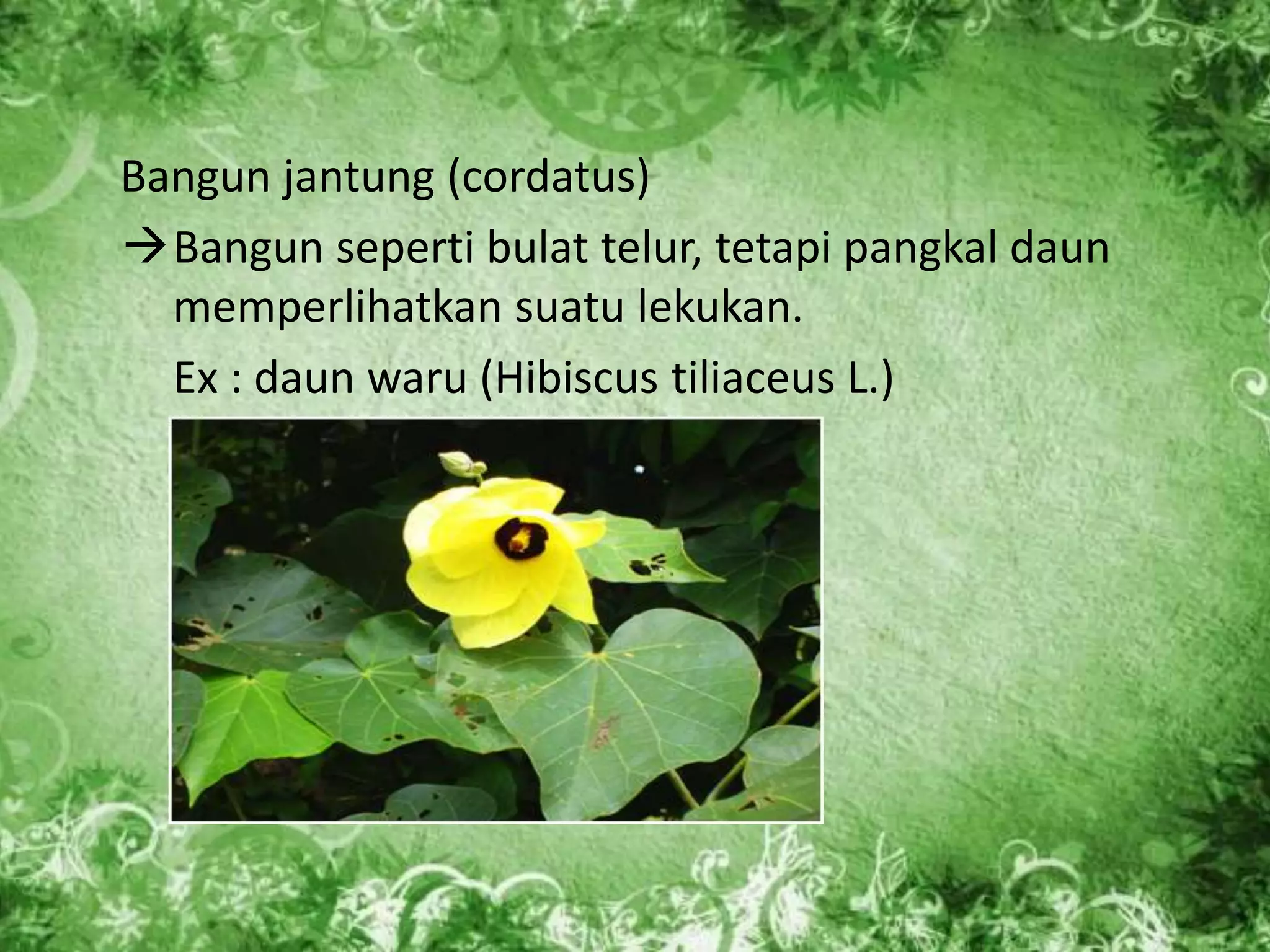 PPT Morfologi Tumbuhan - Daun dan Bangun Daun | PPTX
